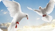 Play Flying Birds game online for free | 4GameGround.com