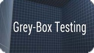 Play Grey-Box Testing game online for free | 4GameGround.com