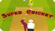 Play Super Cricket 2 Fun game online for free | 4GameGround.com