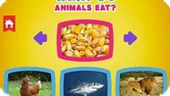 Play What Do Animals Eat? game online for free | 4GameGround.com