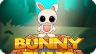 Play Bunny Jump game online for free | 4GameGround.com