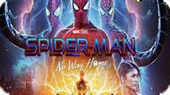 Play Spider Man Hidden Object game online for free | 4GameGround.com