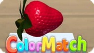 Play Color Match game online for free | 4GameGround.com