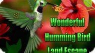 Play Wonderful Humming Bird Land Escape game online for free ...