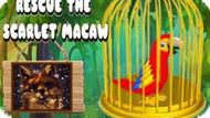 Play Rescue The Scarlet Macaw game online for free | 4GameGround.com