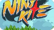 Play Ninja Kite game online for free | 4GameGround.com
