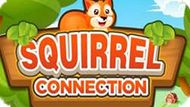 Play Squirrel Connection game online for free | 4GameGround.com