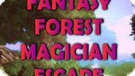 Play Fantasy Forest Magician Escape game online for free | 4GameGround.com