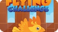 Play Flying Challenge game online for free | 4GameGround.com