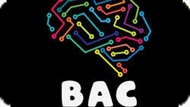 Play Bac Brain Addition Challenge game online for free | 4GameGround.com