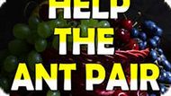 Play Help The Ant Pair game online for free | 4GameGround.com