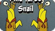 Play Find Turbo Snail game online for free | 4GameGround.com