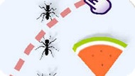 Play Ant Flow game online for free | 4GameGround.com