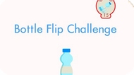 Play Bottle Flip Challenge game online for free | 4GameGround.com