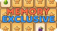 Play Memory Exclusive game online for free | 4GameGround.com