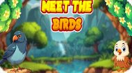 Play Meet The Birds game online for free | 4GameGround.com