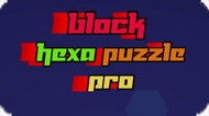 Play Block Hexa Puzzle Pro game online for free | 4GameGround.com