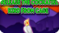 Play Release The Cockatiel Bird From Cage game online for free ...