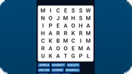 Play Word Search game online for free | 4GameGround.com