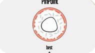 Play Pinpoint game online for free | 4GameGround.com